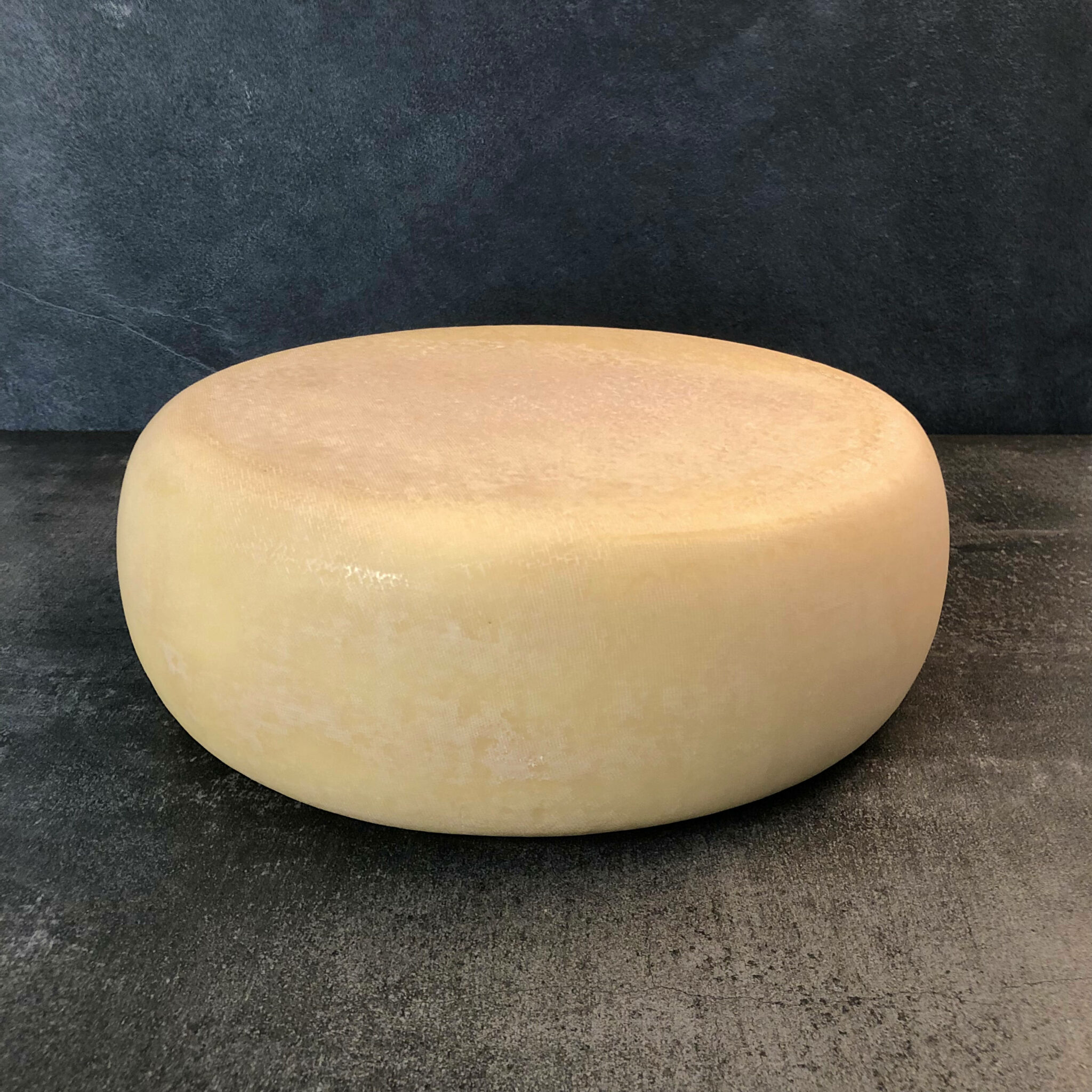 Capri Ella - Stonetown - La Ferme Black River Game Farm